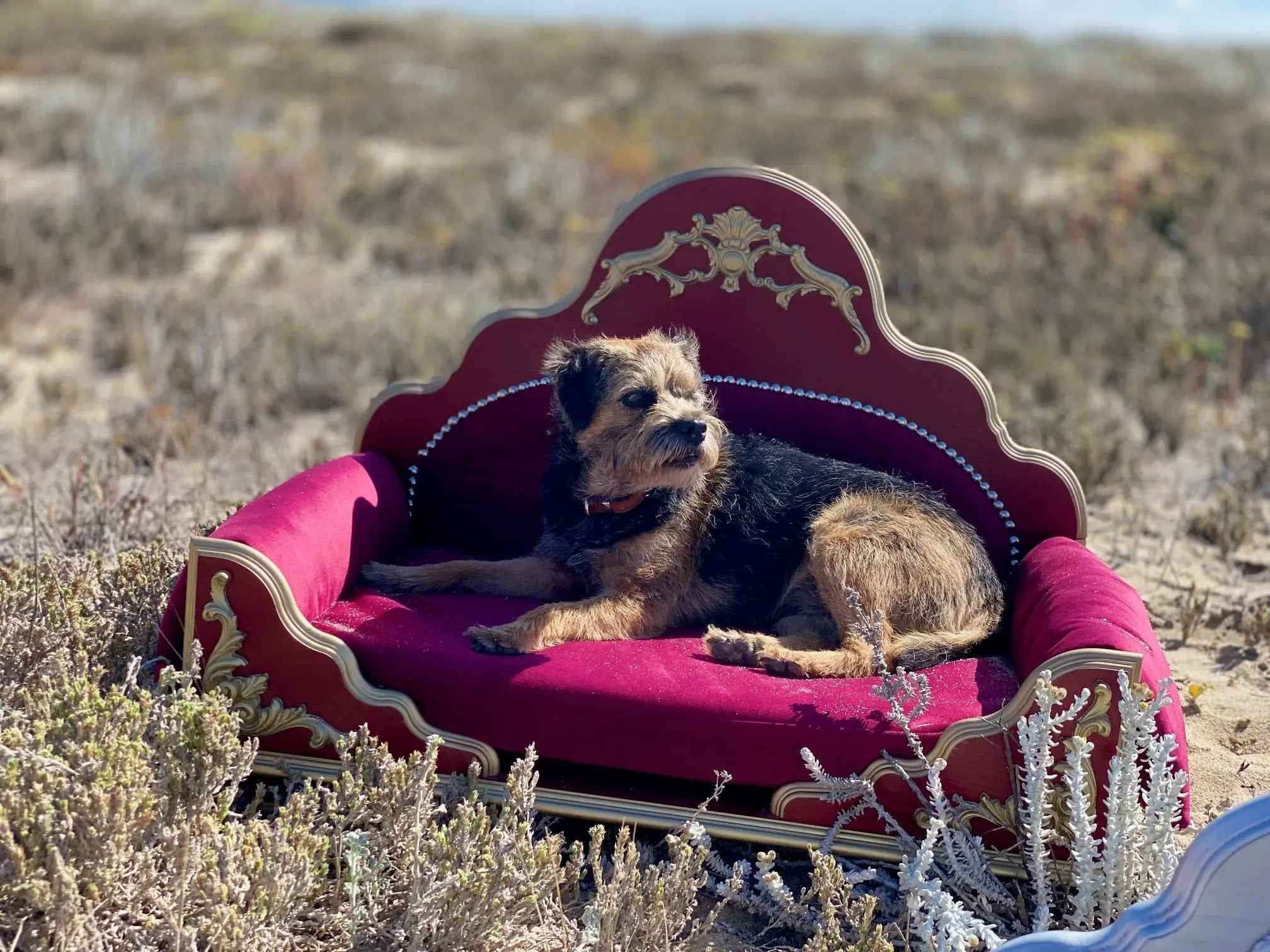 Dog Beds | HT Animal Supply